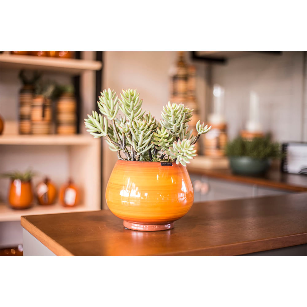 Fruteira P 30Cm Alto Brilho Aruba - Carolina Haveroth - coqueluchecasa