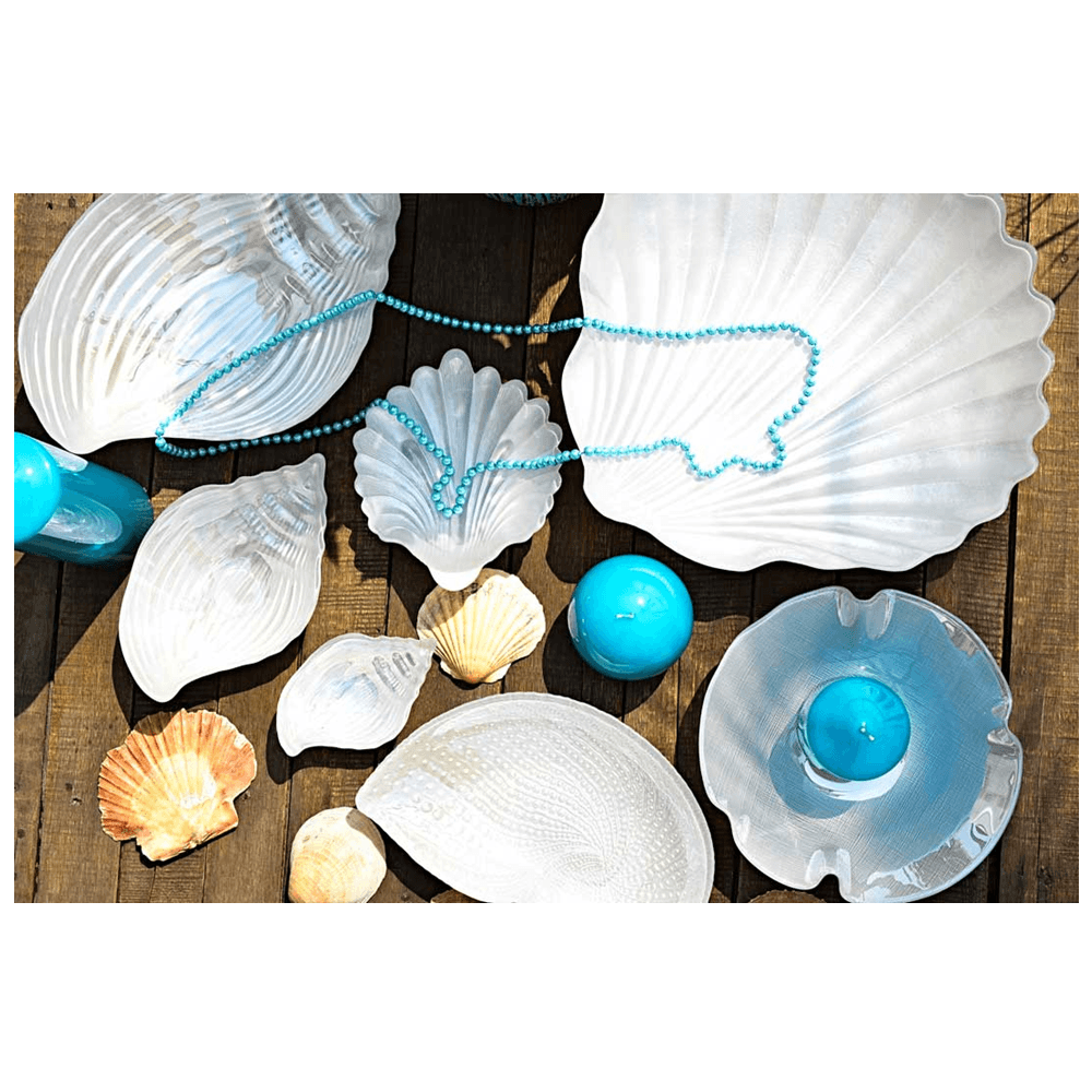 Centro De Mesa Shell Concha Decor Vidro Pérola 23X15cm - Vylux ...